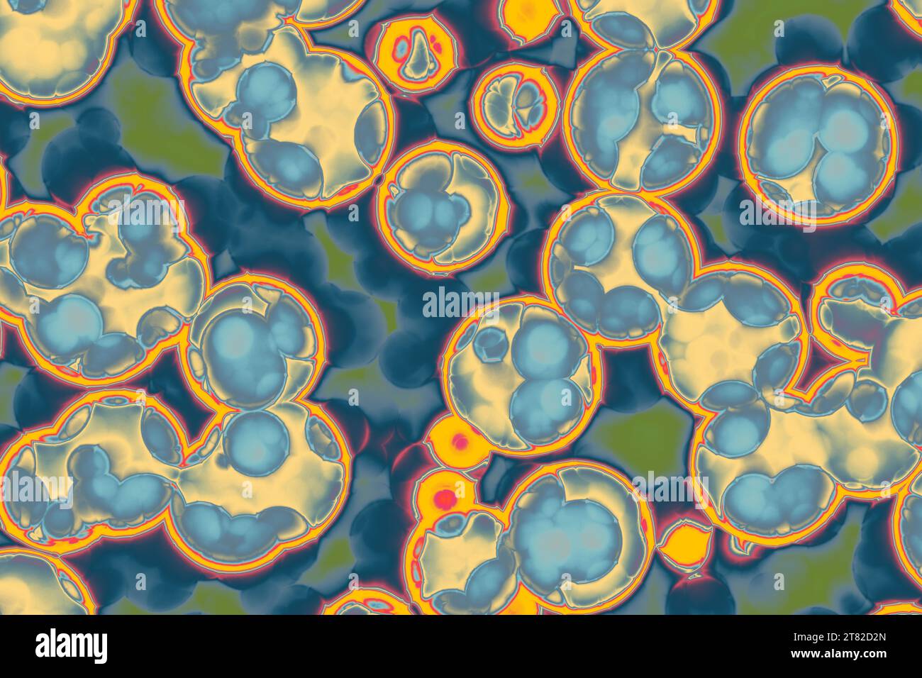 Shape of bacterial cell: cocci, bacilli, spirilla bacteria background ...