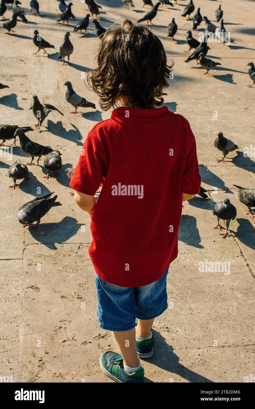 Little kid amid Lovely pigeon birds feed in an urban environment Stock ...