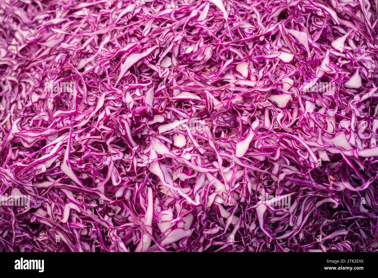 Grated ed cabbages in a supermarket, Cabbage background Stock Photo - Alamy