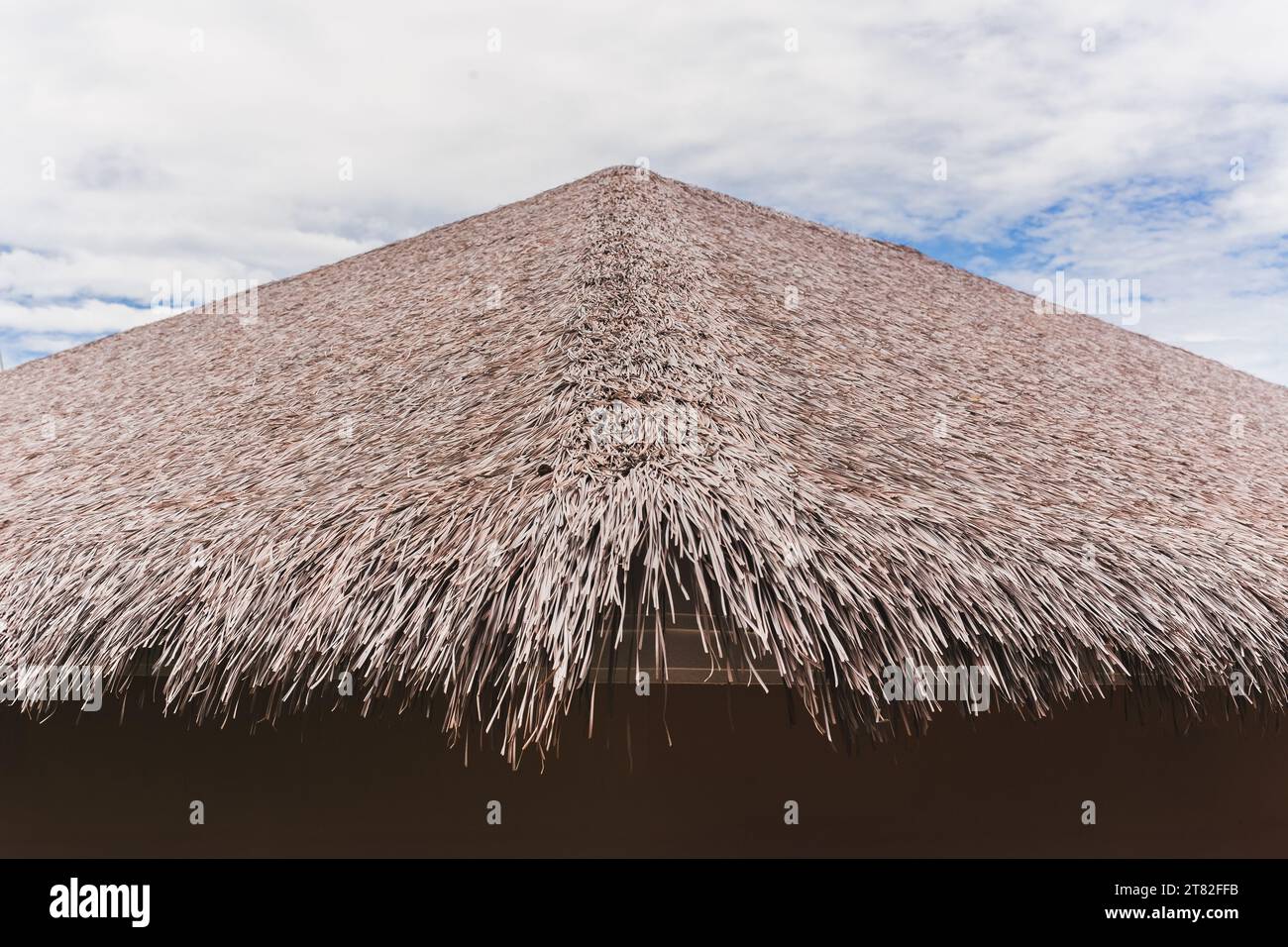 Dry sedge background used as a roof of natural dry grass background ...
