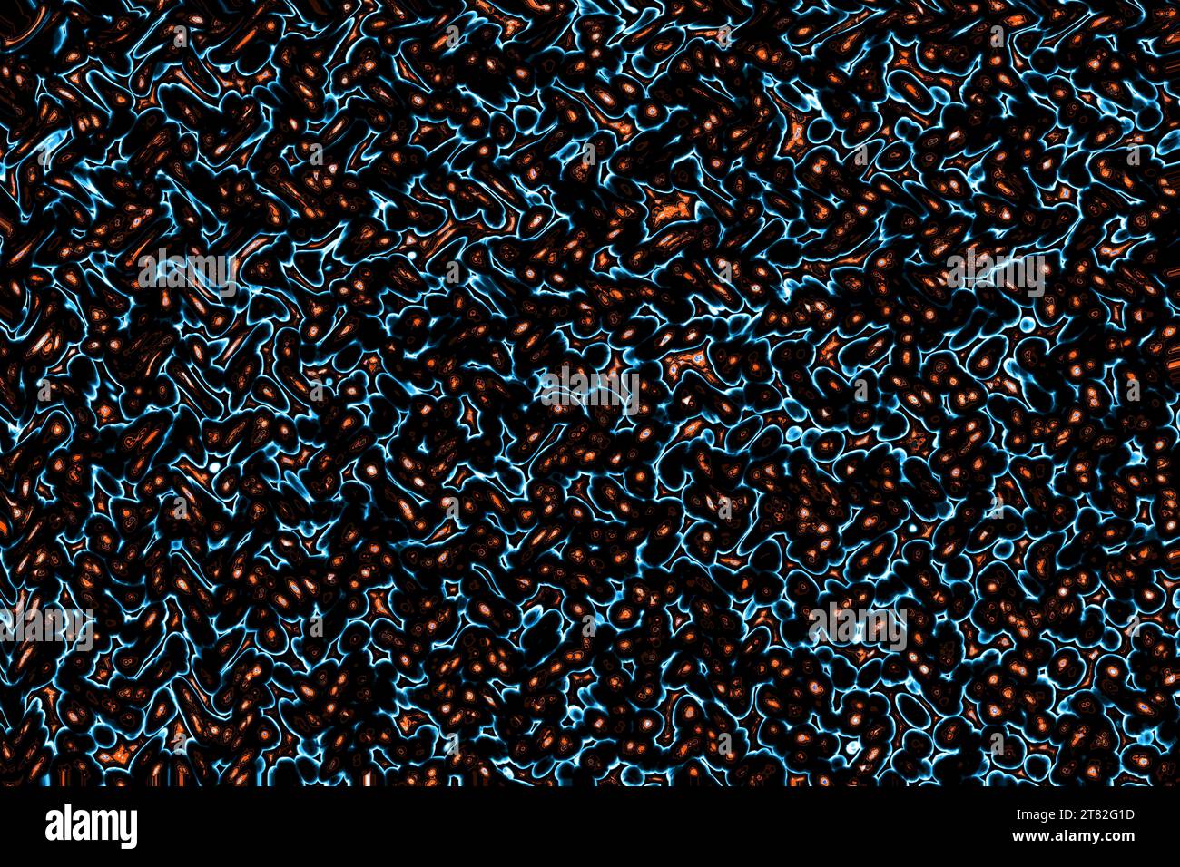 Shape Of Bacterial Cell Cocci Bacilli Spirilla Bacteria Background