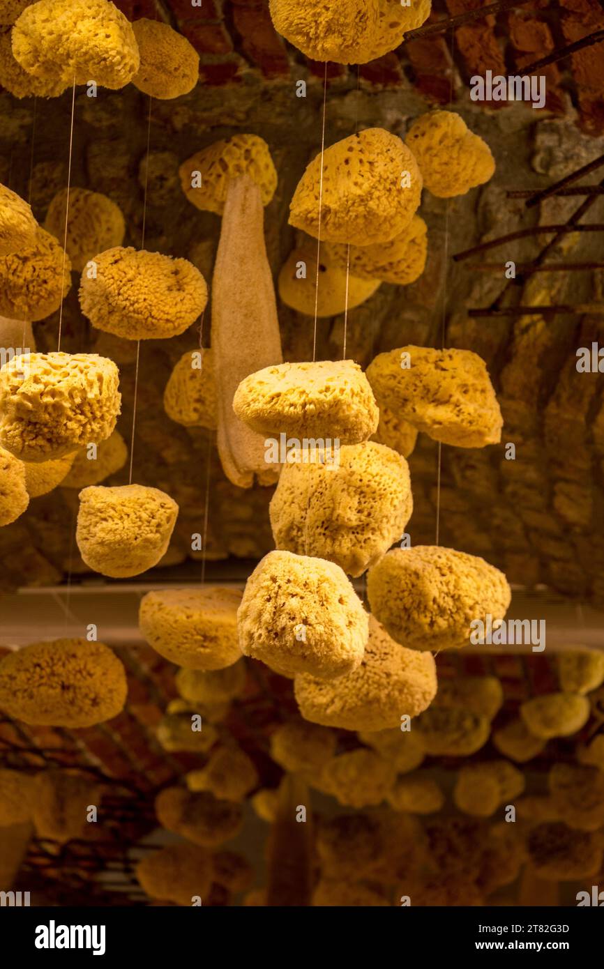 Sponge sales hi-res stock photography and images - Alamy