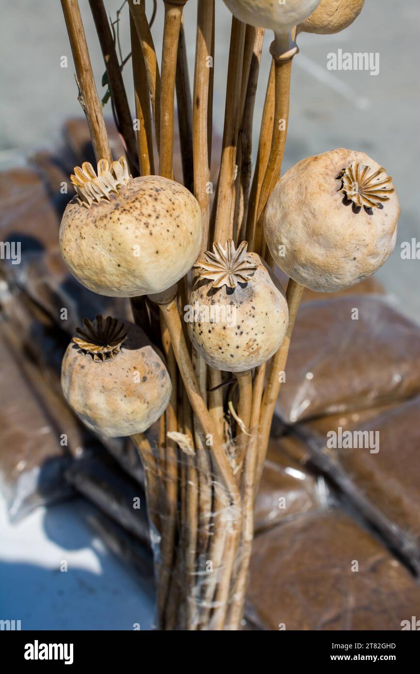 Dried poppy heads seen in view Stock Photo - Alamy