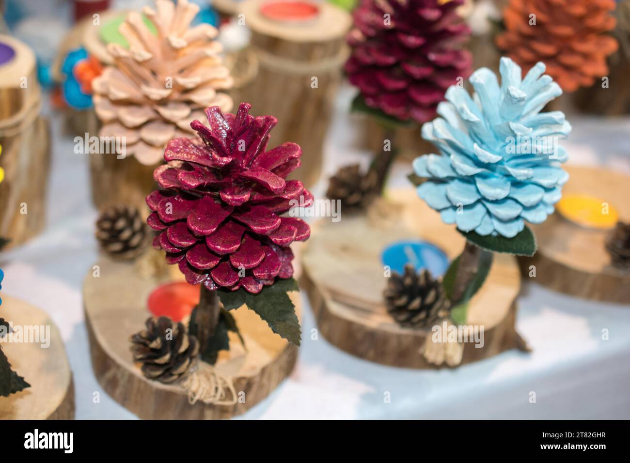 Colorful Pine cones of the pine tree in the view Stock Photo - Alamy