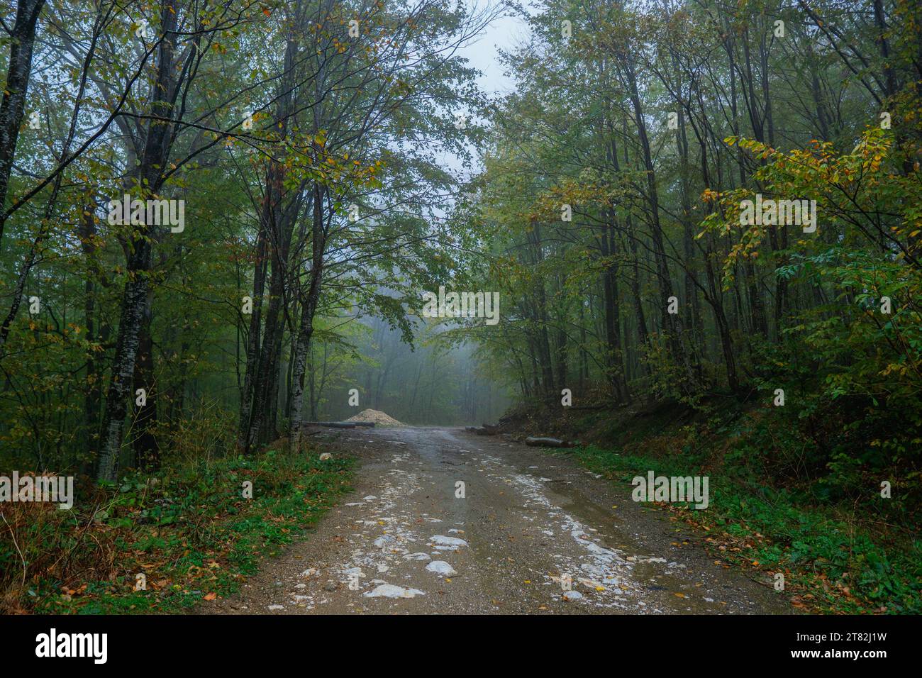 Domaniç, which has a surface area of ??1240 km, is almost entirely ...