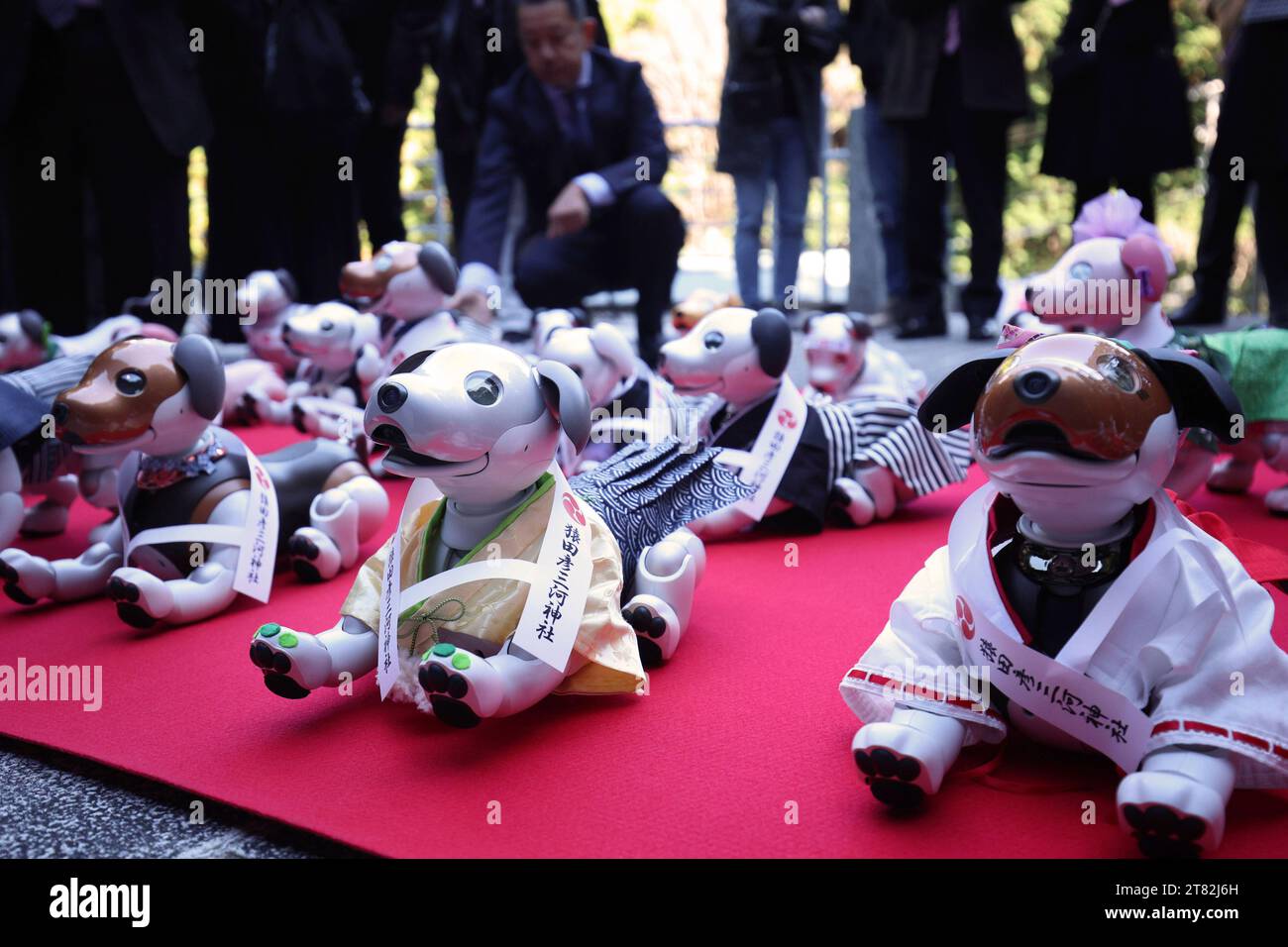 Lots of aibo, a dog-shaped robot manufactured by Sony, participate in ...
