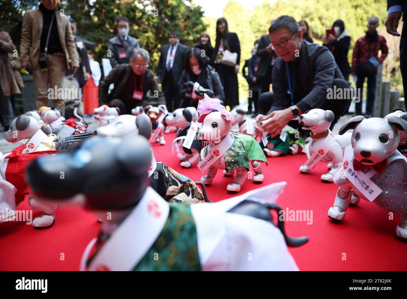 Lots of aibo, a dog-shaped robot manufactured by Sony, participate in ...