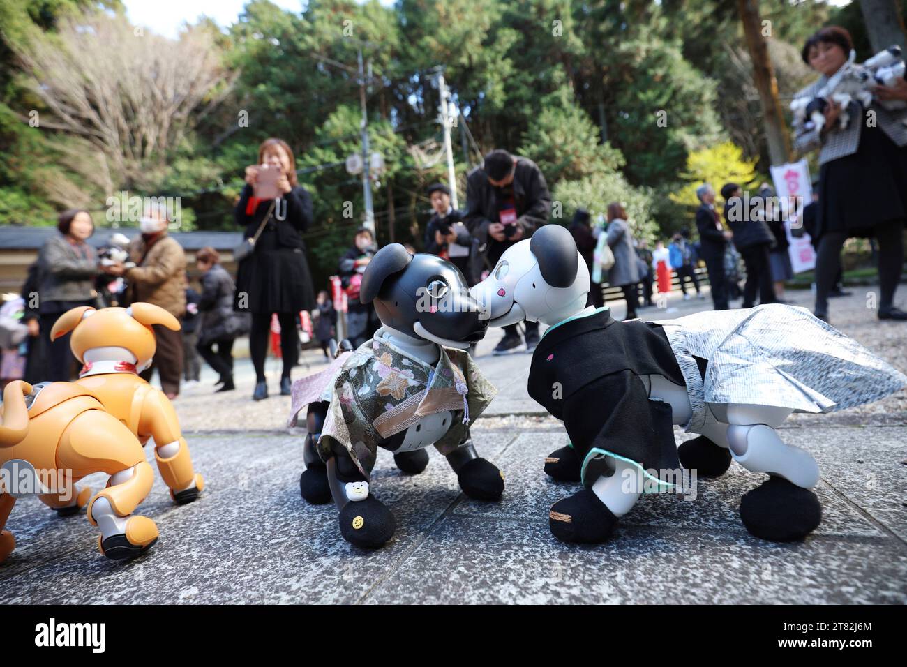 Lots of aibo, a dog-shaped robot manufactured by Sony, participate in ...