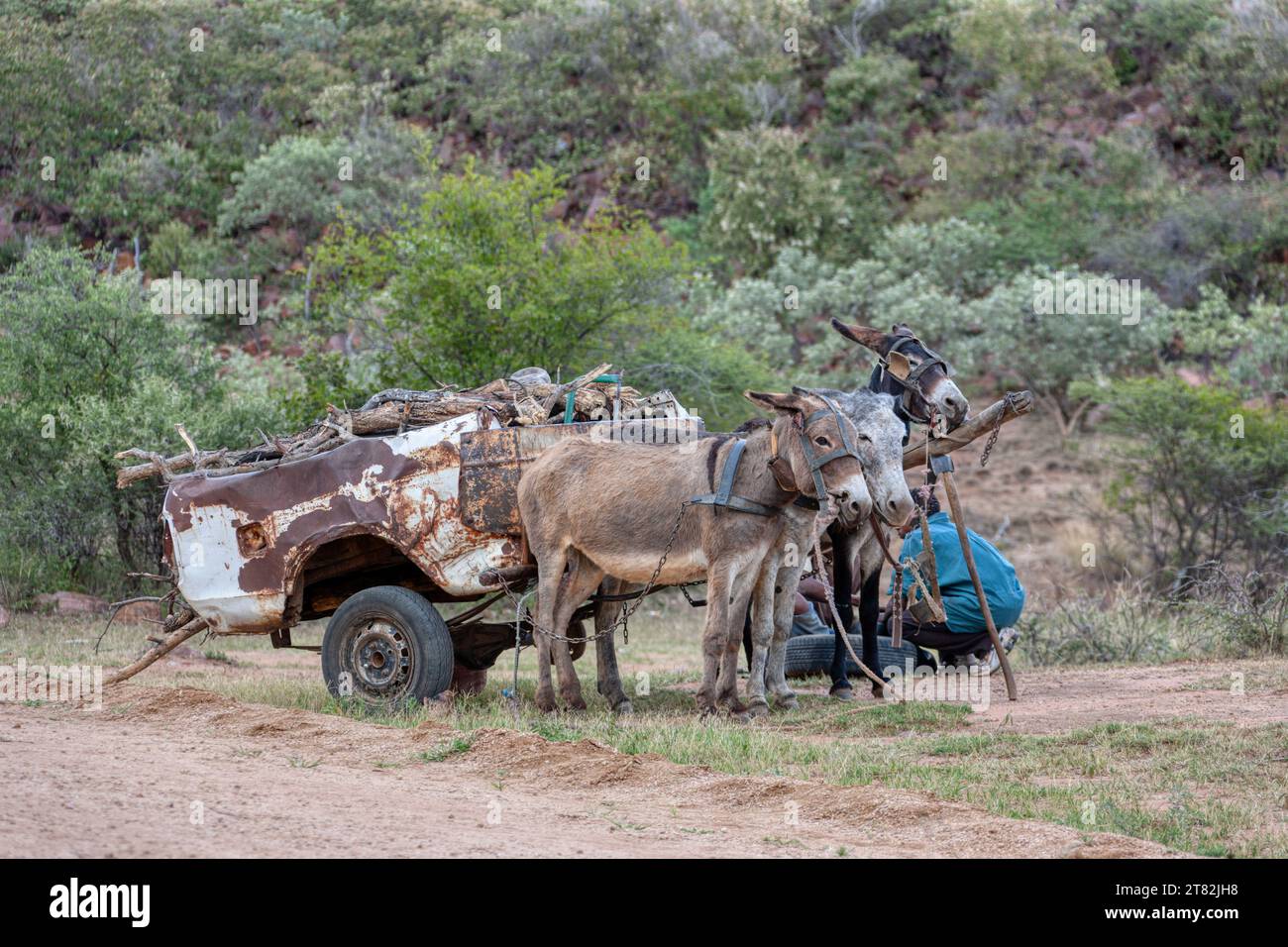donkey cart from a car body carry wood africa, african boys repairing ...