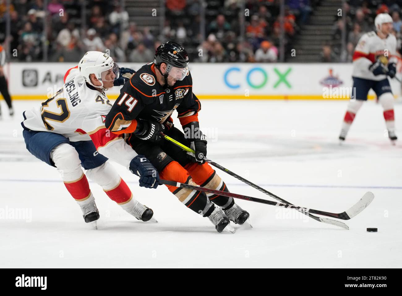 Florida Panthers defenseman Gustav Forsling (42) defends against ...