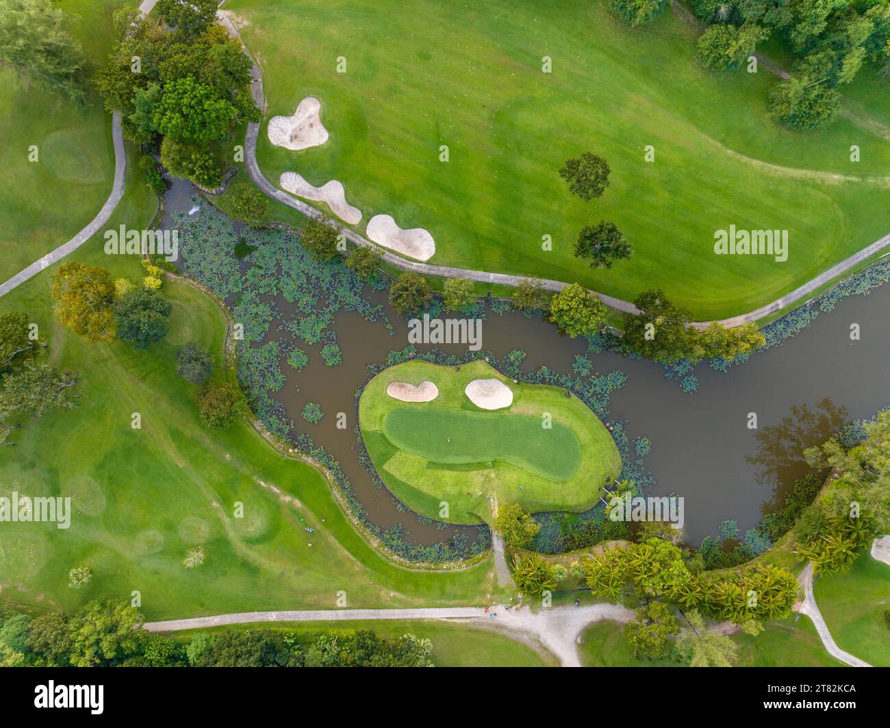 Aerial view of beautiful green golf field fairway and putting green ...