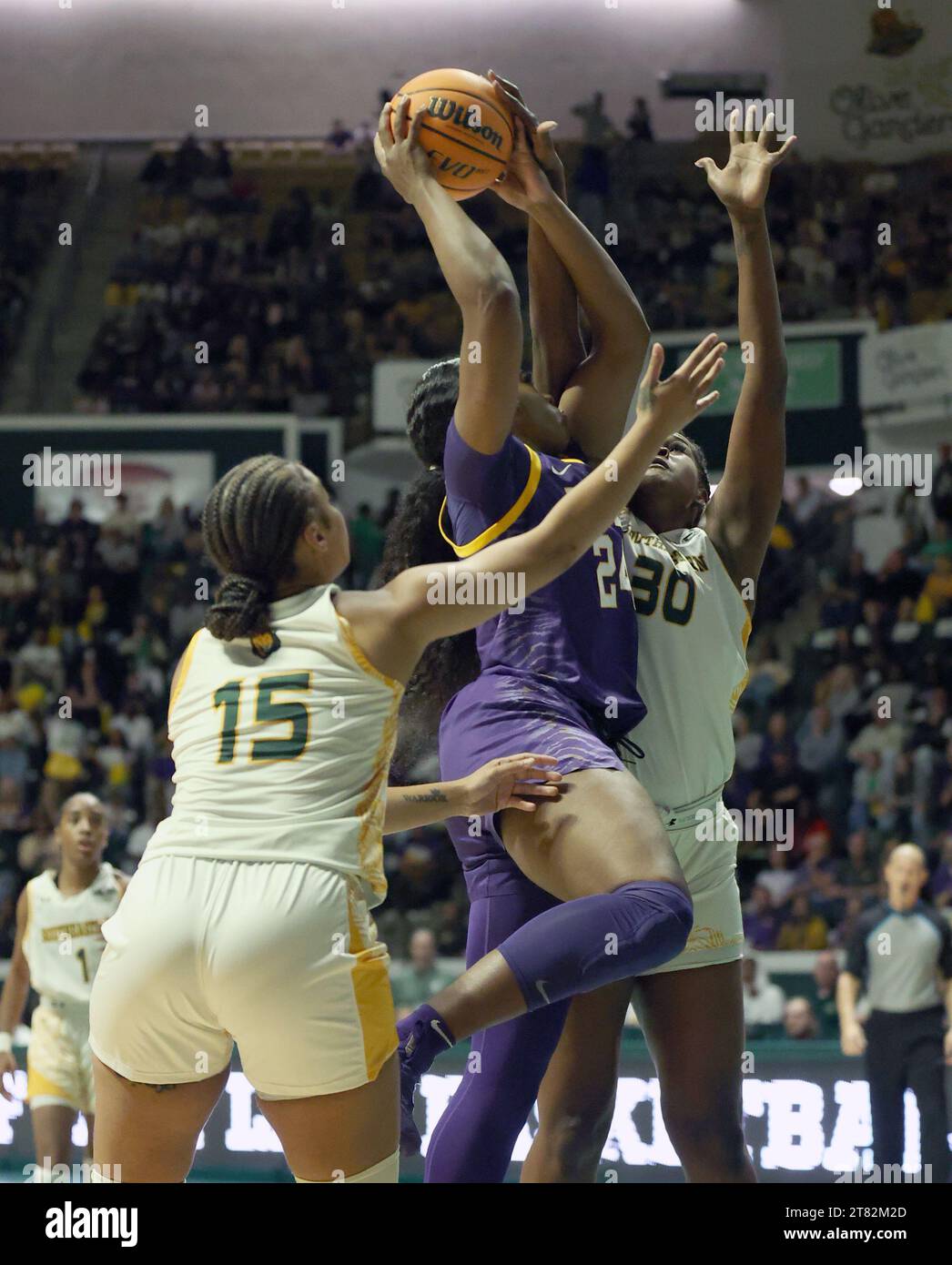 Hammond, USA. 17th Nov, 2023. LSU Lady Tigers guard Aneesah Morrow (24 ...