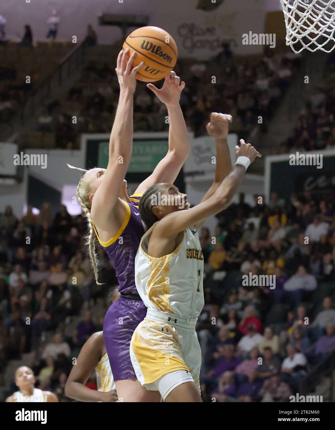 Hammond, USA. 17th Nov, 2023. LSU Lady Tigers guard Hailey Van Lith (11 ...