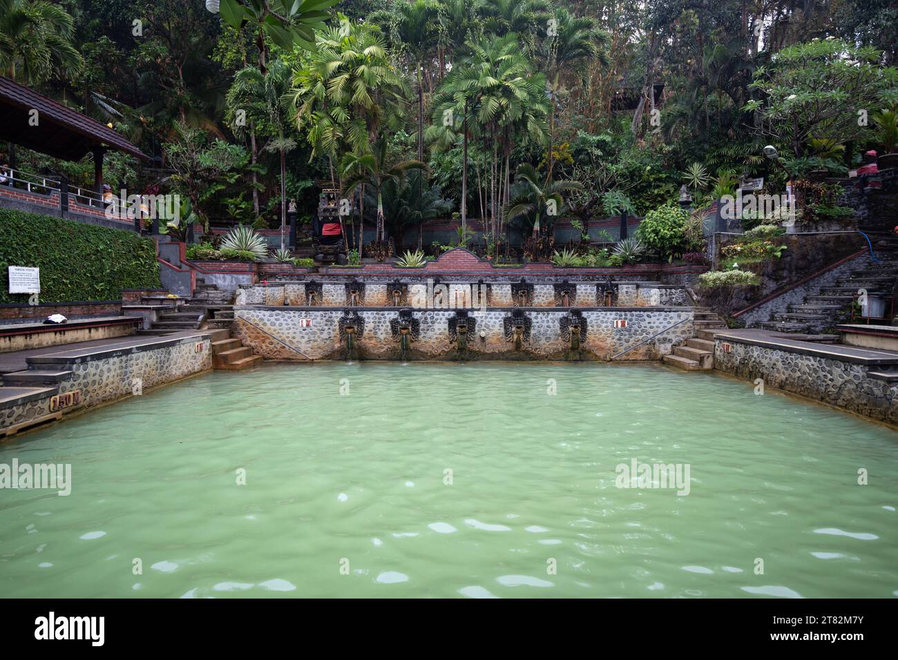 Hot springs, thermal bath in the tropical jungle. Ritual sulphurous ...