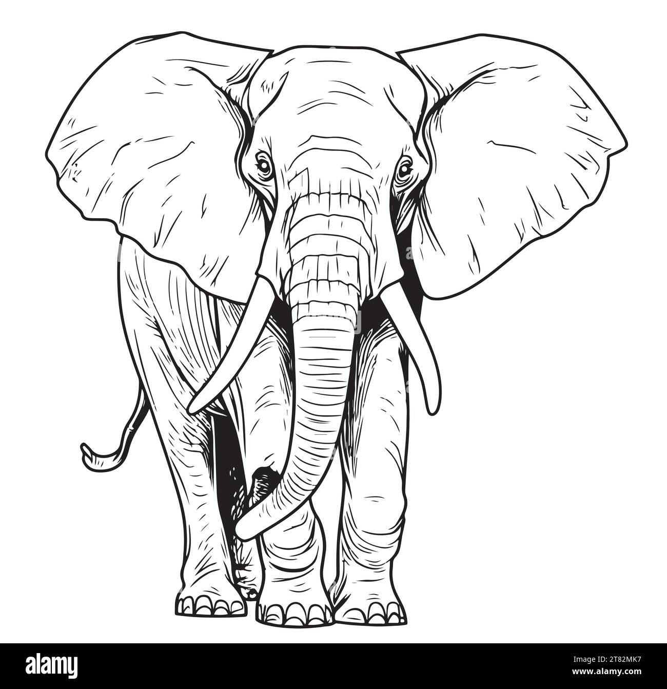 Elephant standing sketch hand drawn in doodle style Cartoon Vector ...