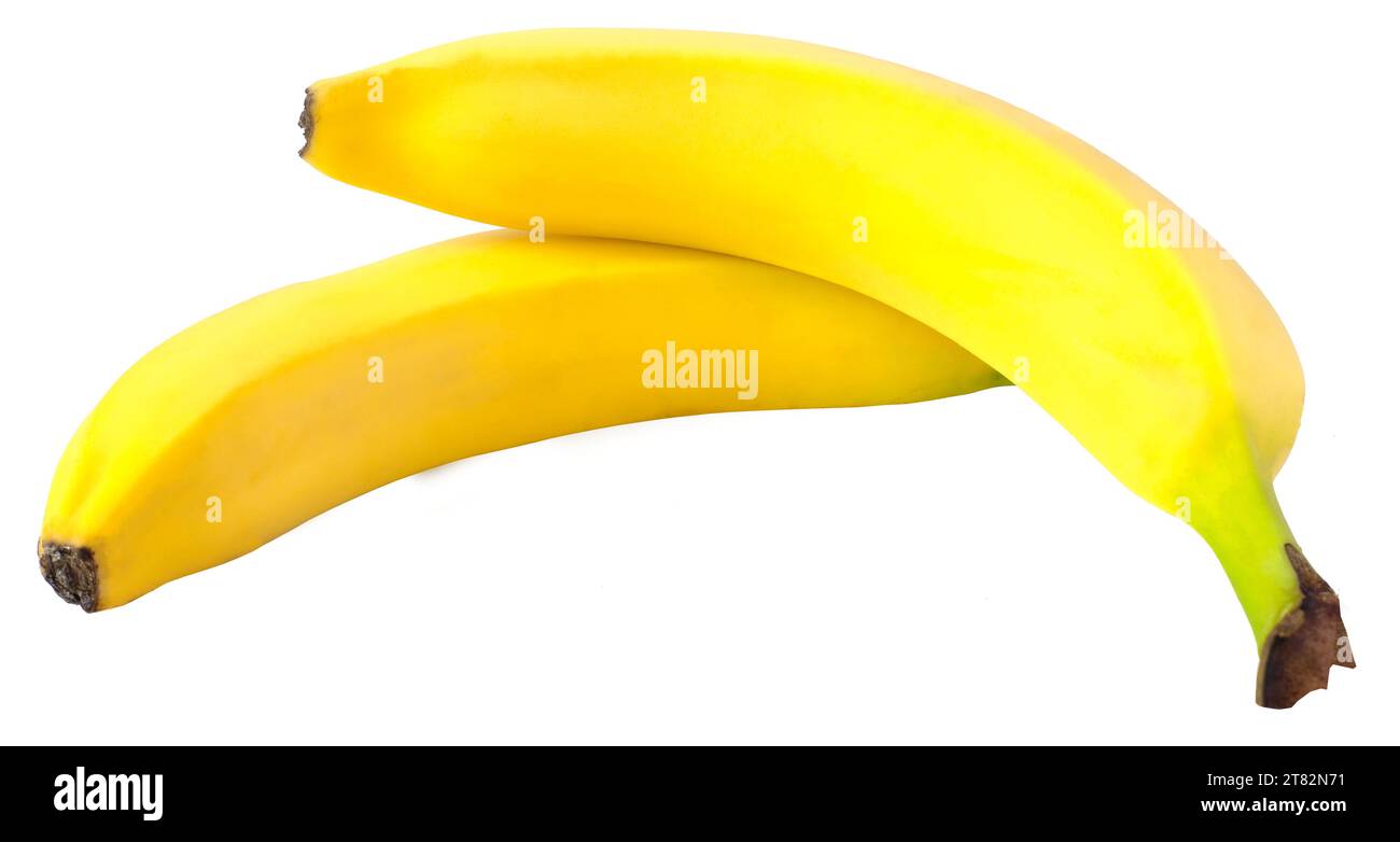 Two bananas isolated on a white background. Clipping mask for quick ...