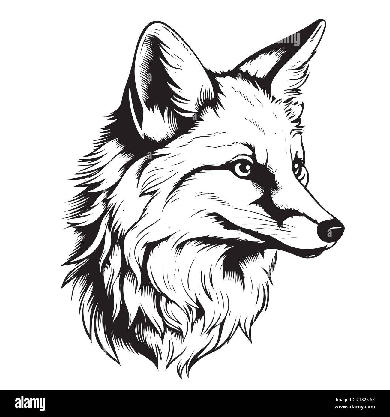 Fox. Graphic, sketch, black and white, hand-drawn portrait of a Fox ...