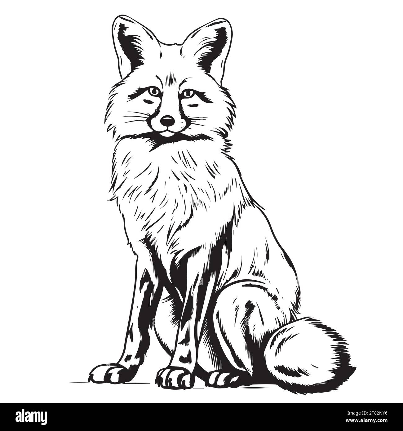 Fox sitting comic. Graphic, sketch, black and white, hand-drawn ...