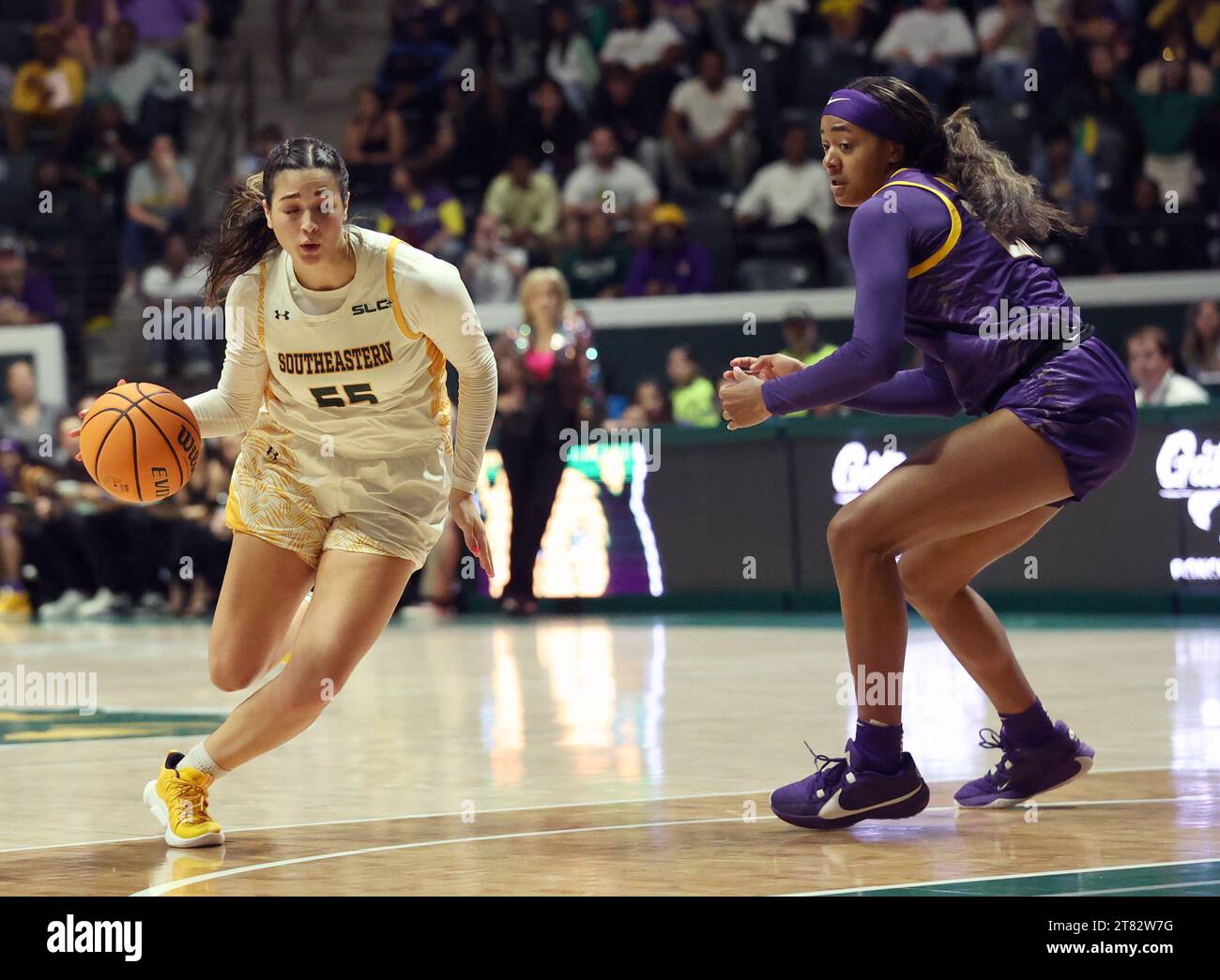 Southeastern louisiana lady lions hi-res stock photography and images ...