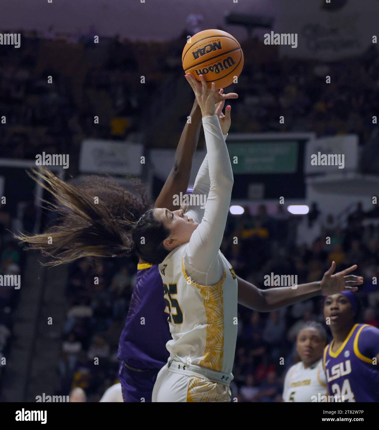 Southeastern louisiana lady lions hi-res stock photography and images ...
