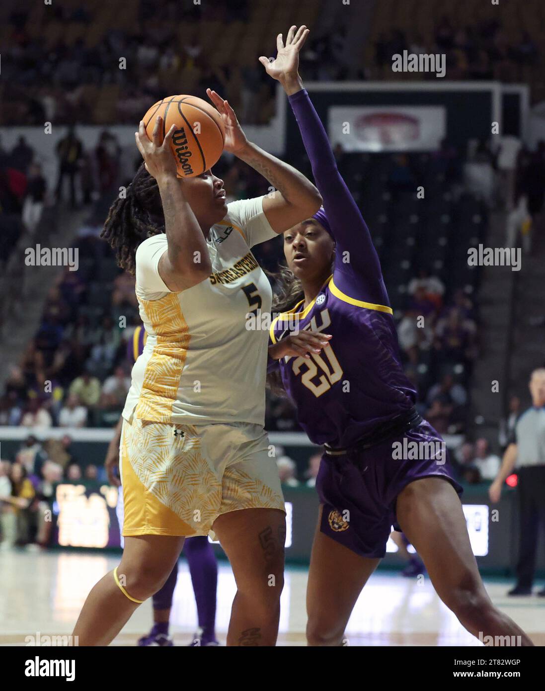 Southeastern louisiana lady lions hi-res stock photography and images ...