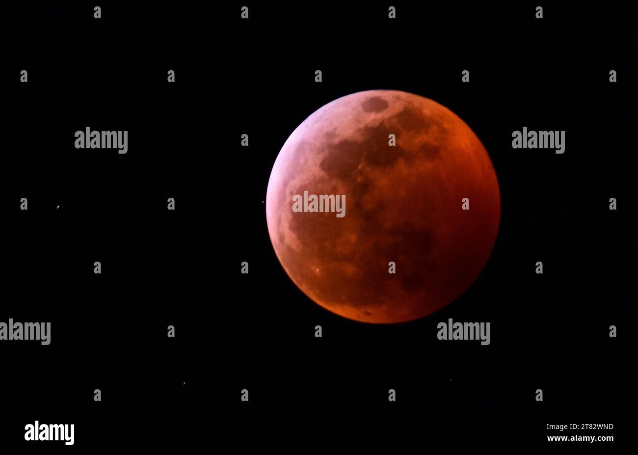 the super blood wolf moon lunar eclipse of january 2019 Stock Photo - Alamy
