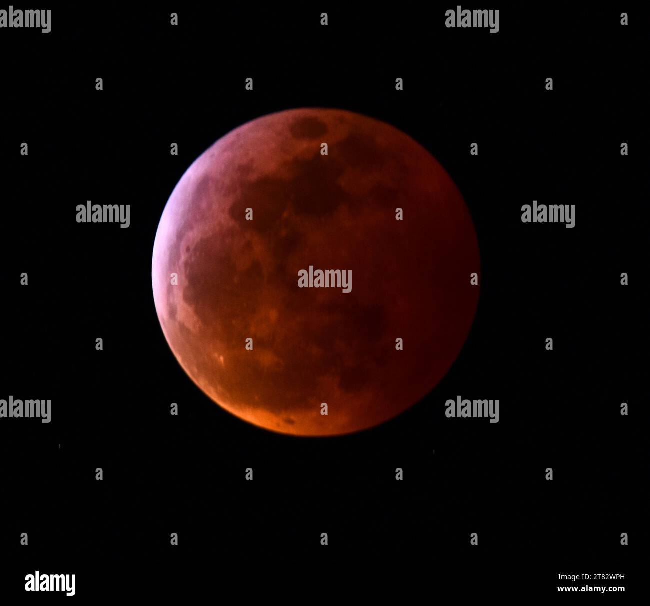 the super blood wolf moon lunar eclipse of january 2019 Stock Photo - Alamy