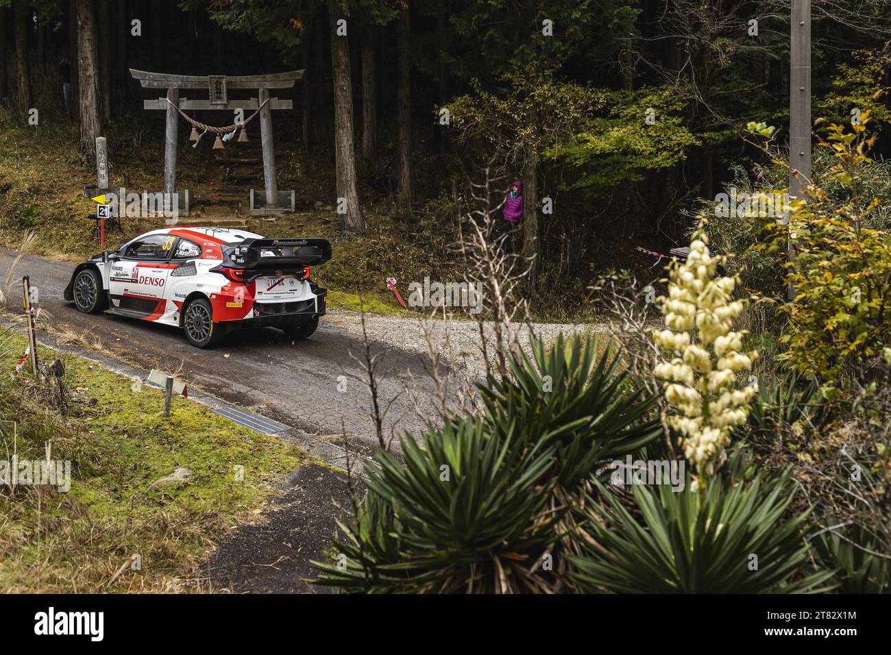 33 Elfyn EVANS (GBR), Scott MARTIN (GBR), TOYOTA GAZOO RACING WRT ...