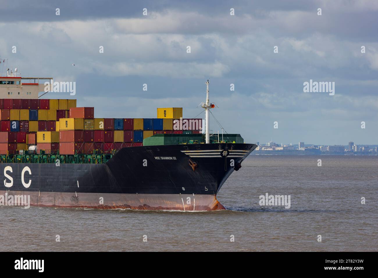 Msc shannon iii hi-res stock photography and images - Alamy