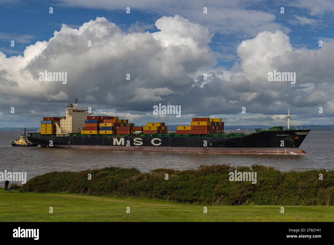 Container MSC Shannon III heading for Royal Portbury Docks Stock Photo ...
