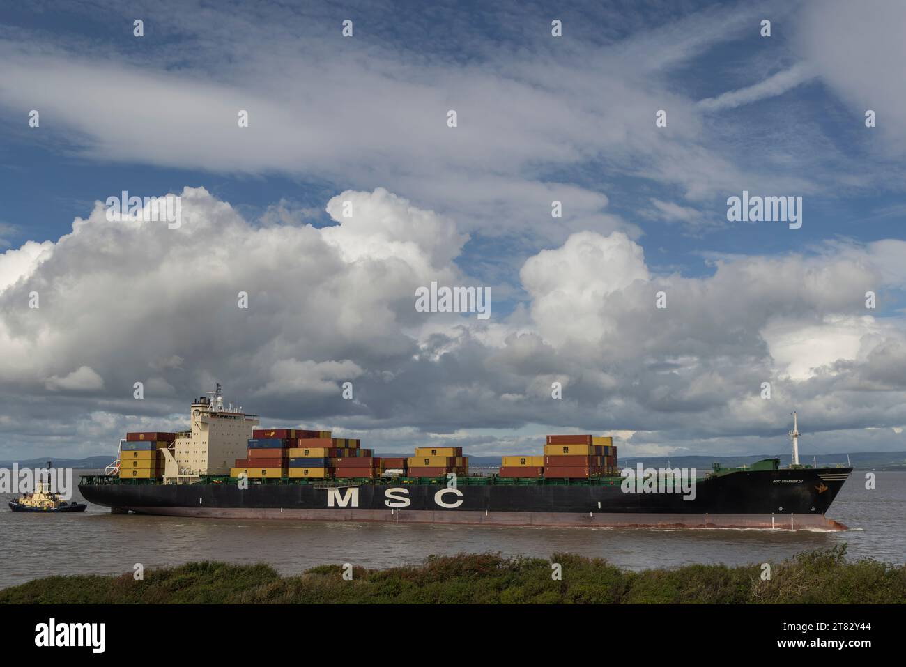 Container MSC Shannon III heading for Royal Portbury Docks Stock Photo ...