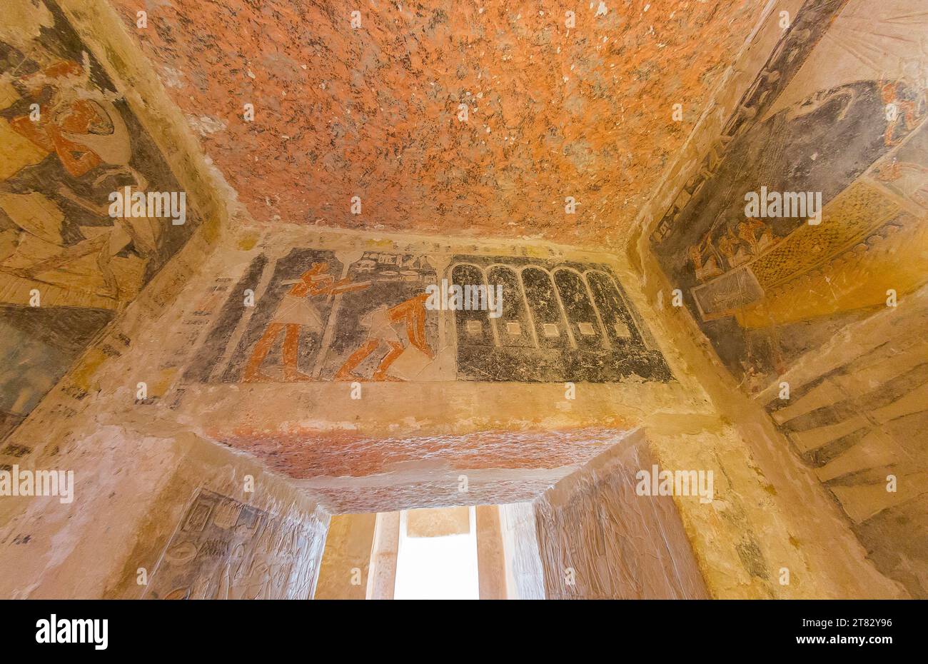 Egypt, Saqqara, tomb of Mehu, the ceiling is painted in pink, imitating ...