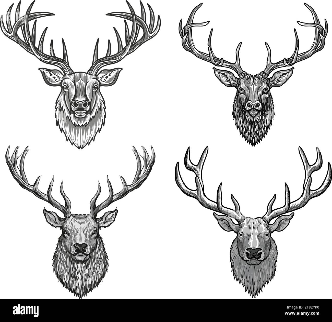 Elk head icon set collection illustration Stock Vector Image & Art - Alamy Elk head icon set collection illustration Stock Vector Image & Art - Alamy