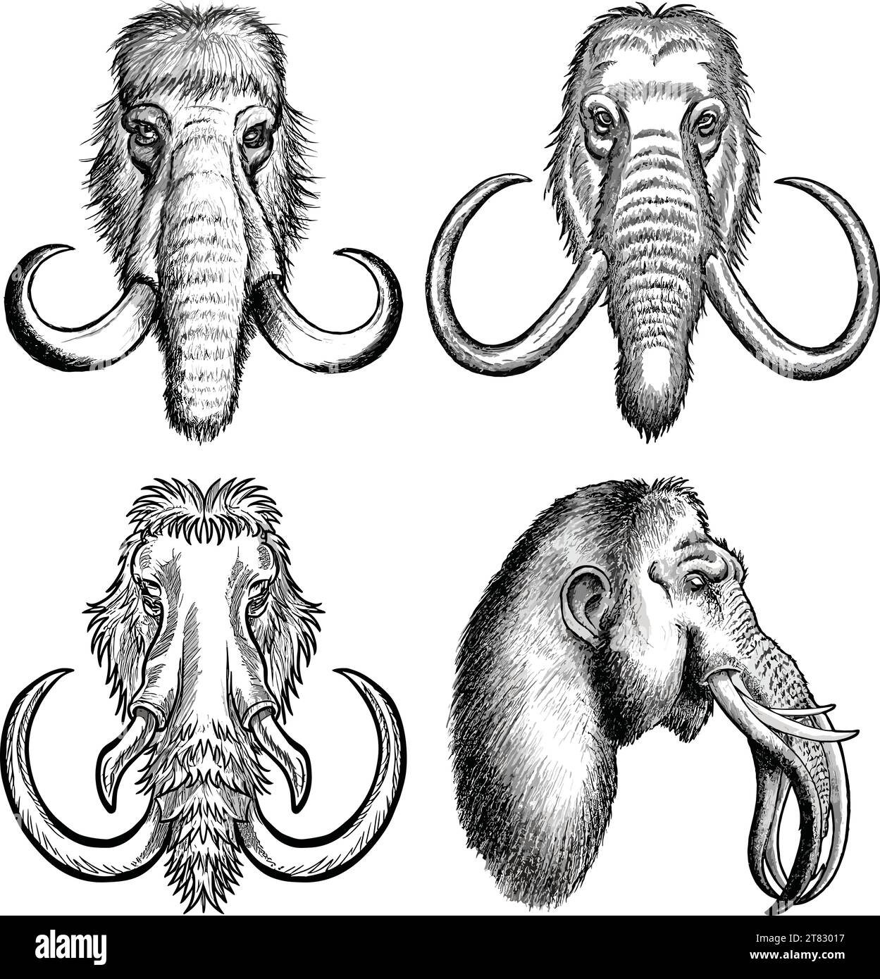 Indian mammoth Stock Vector Images - Alamy