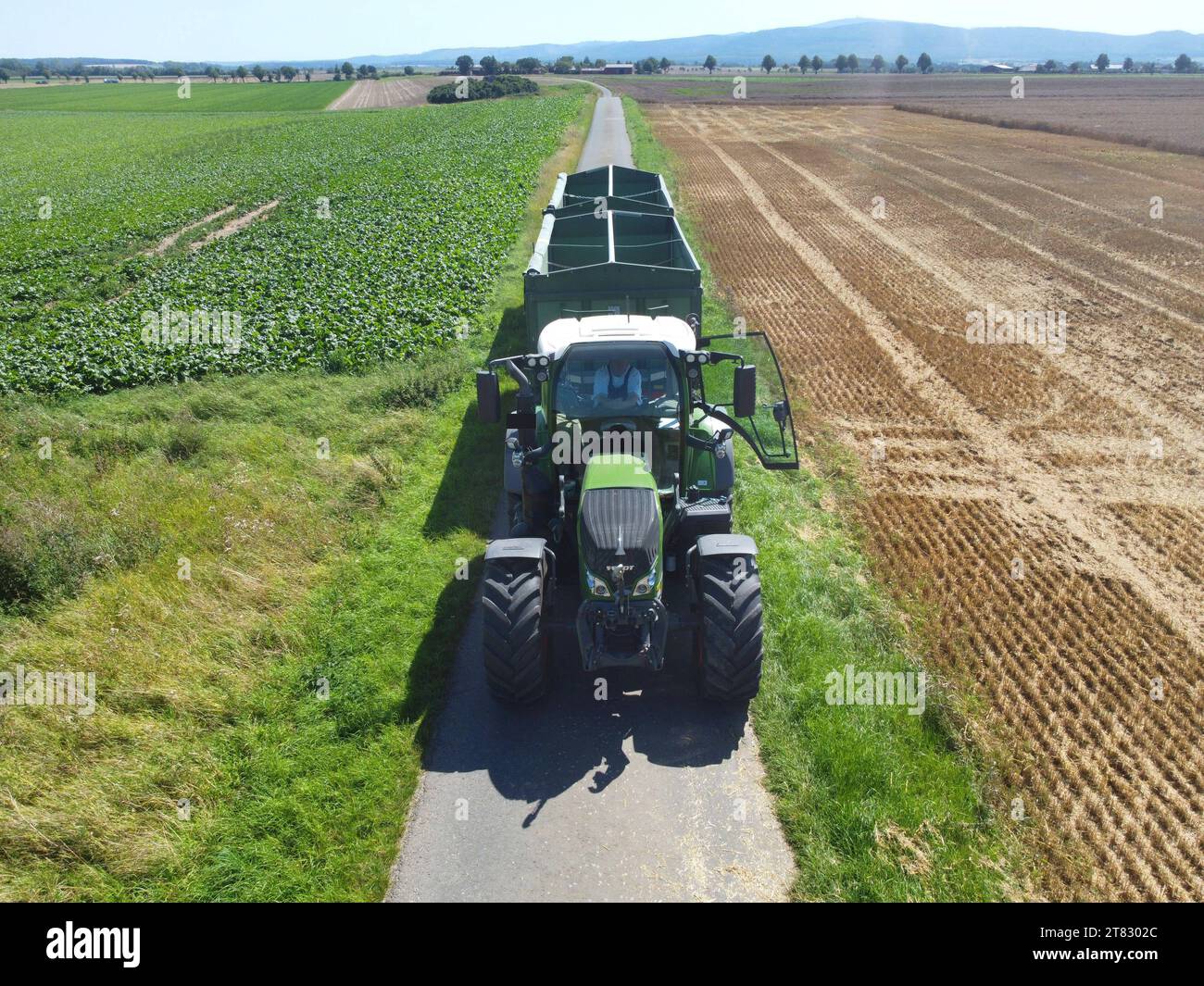 Landwirtschaft-Feld mit Winterweizen wird geerntet. Landwirtschaft ...