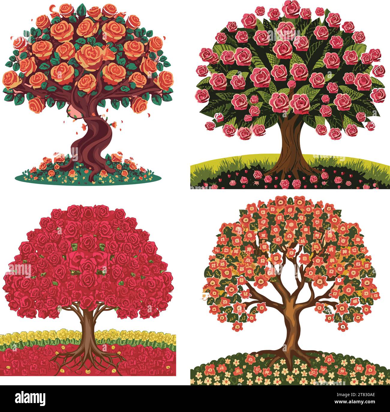 White rose name Stock Vector Images - Alamy