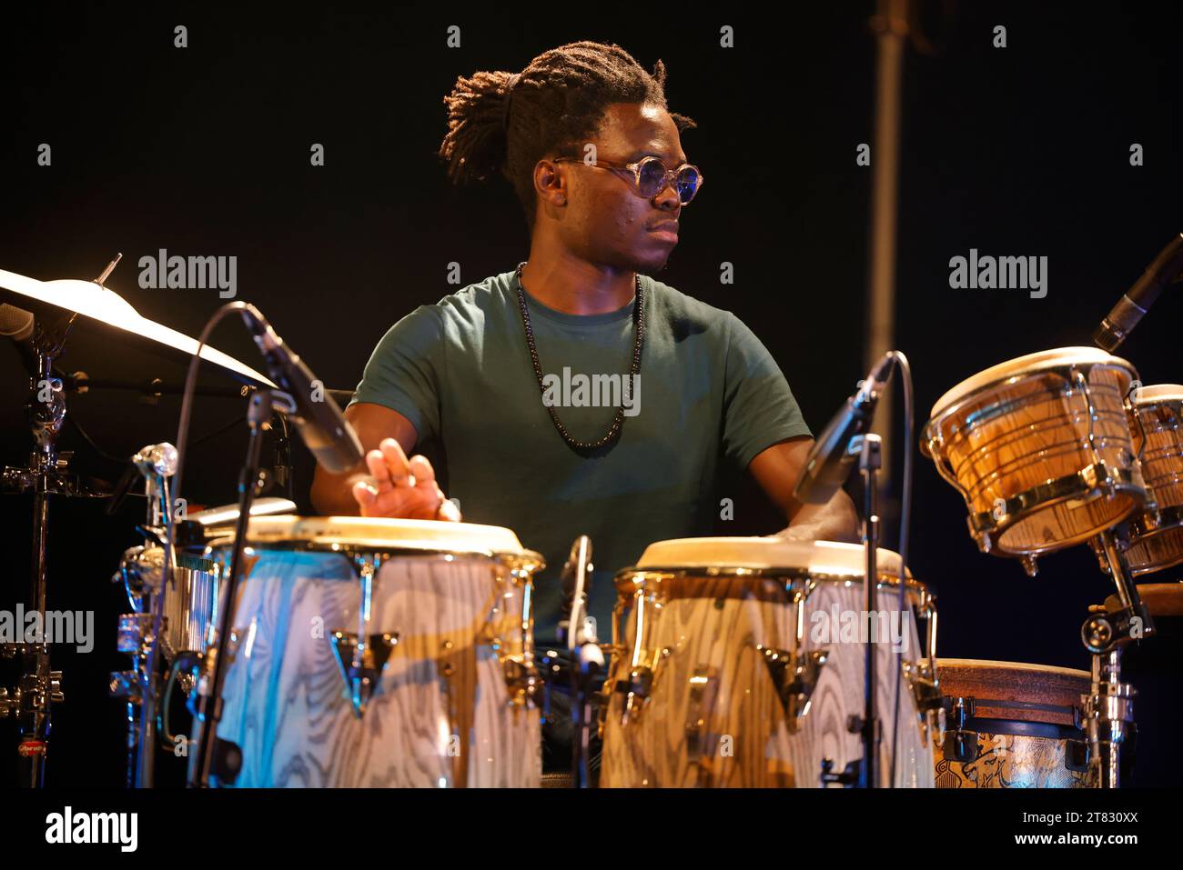 Bambi fabe baurel hi-res stock photography and images - Alamy