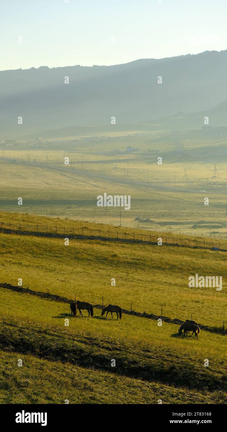 Nomadic empire horse hi-res stock photography and images - Alamy