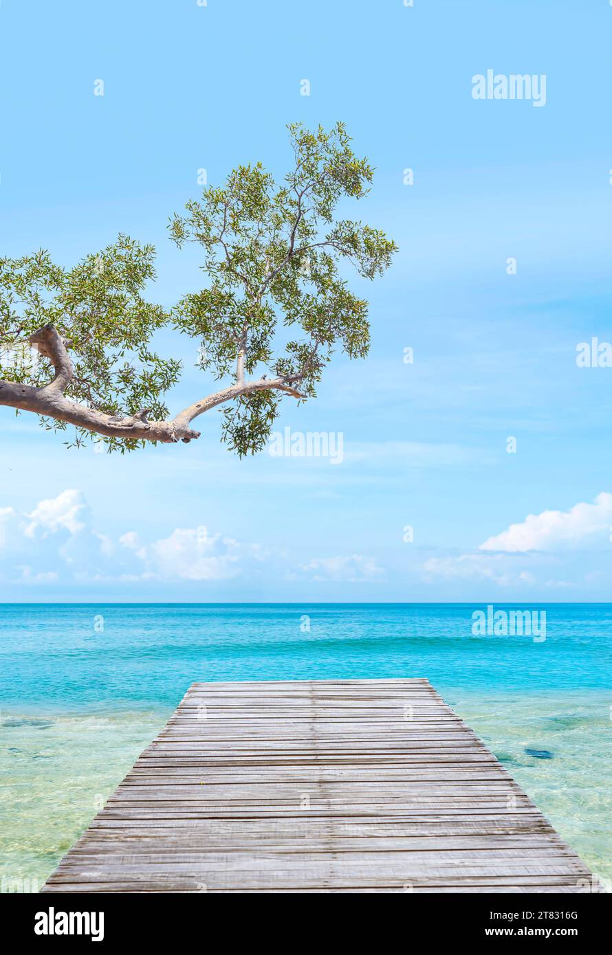 The wooden bridge leads to the calm sea.Vertical image Stock Photo - Alamy