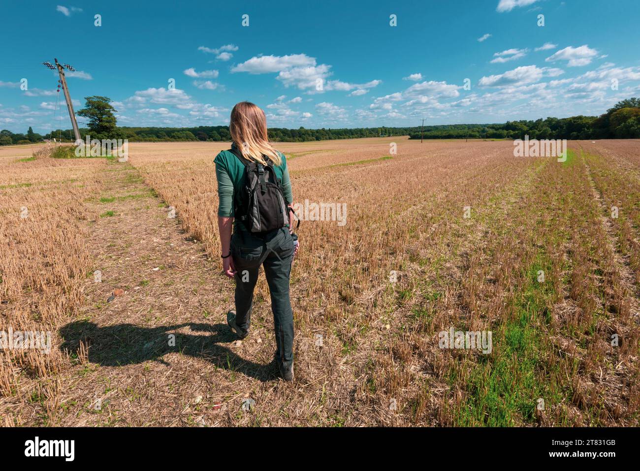A woman enjoys a walk in the country through a farm field on a clear ...