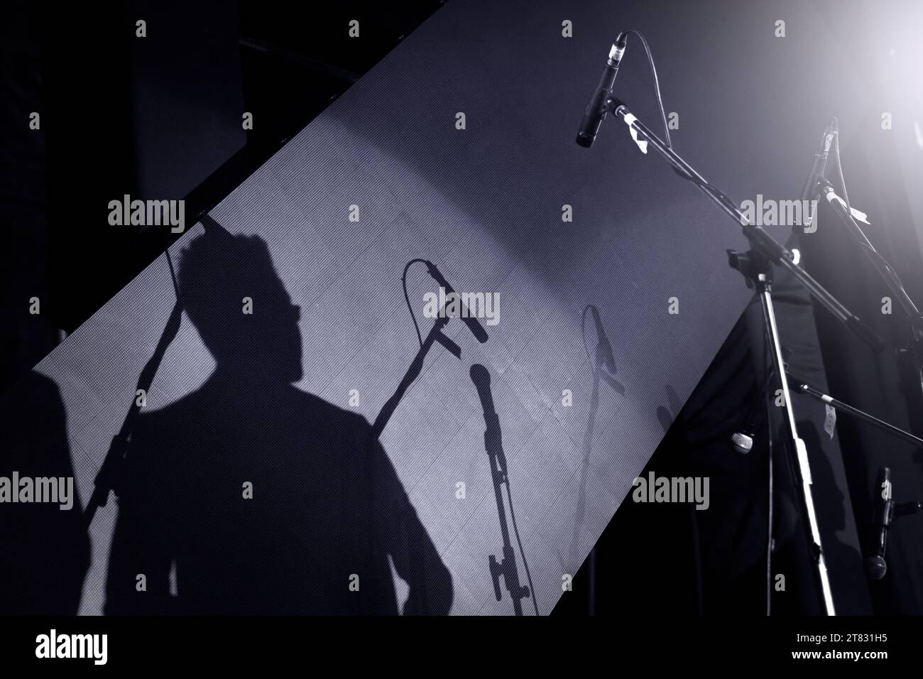 Silhouette of a male moderator or presenter and a professional speech ...