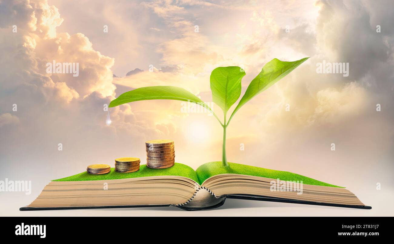 money stack with the plant growing on top of a book. finance ...