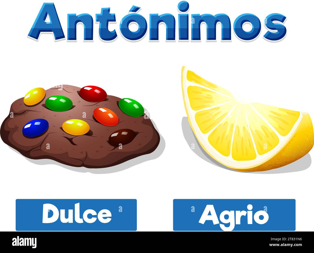 Colorful vector illustration of Spanish antonym word card means sweet ...