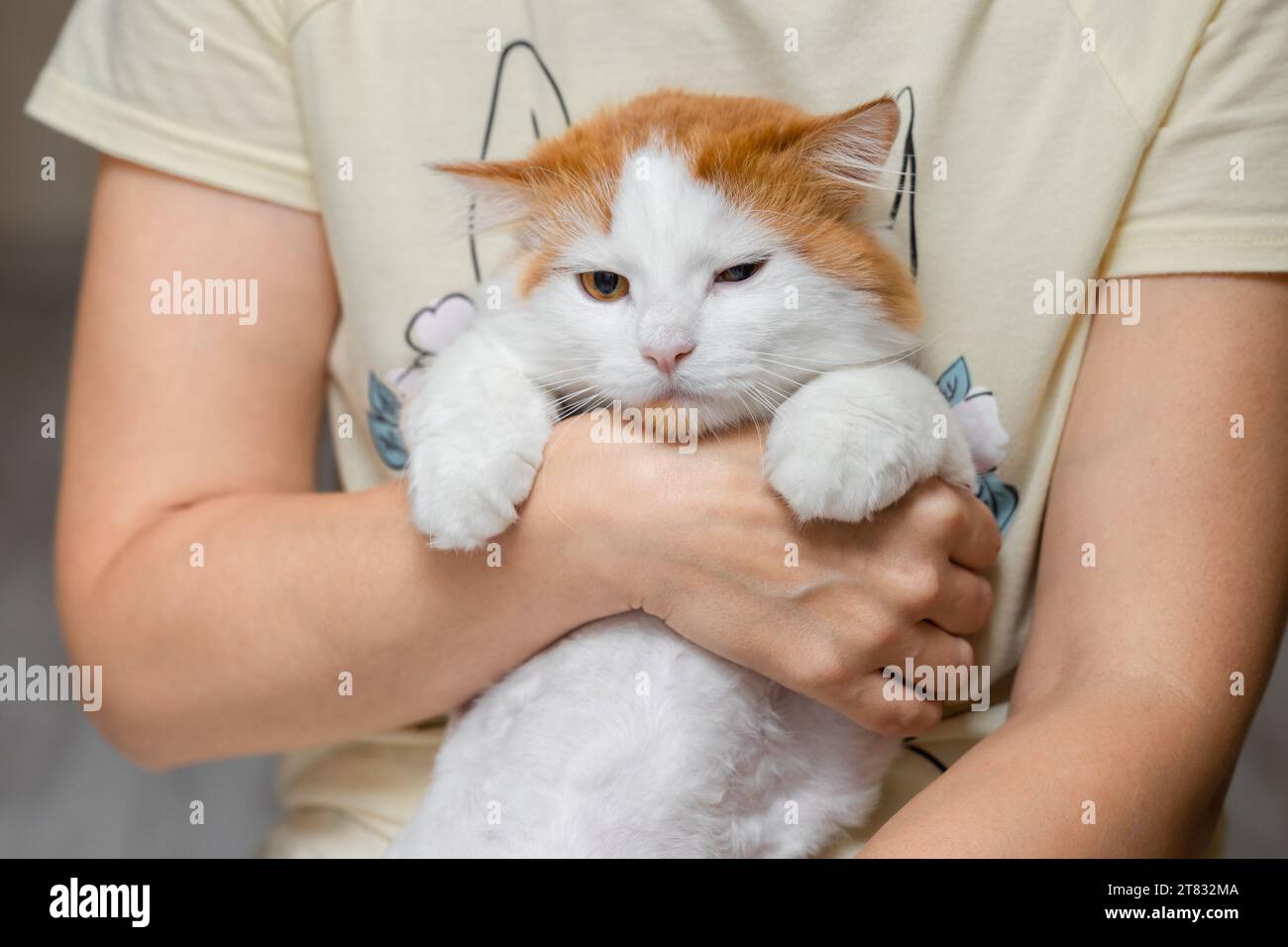 Man holding cat in arms hi-res stock photography and images - Alamy