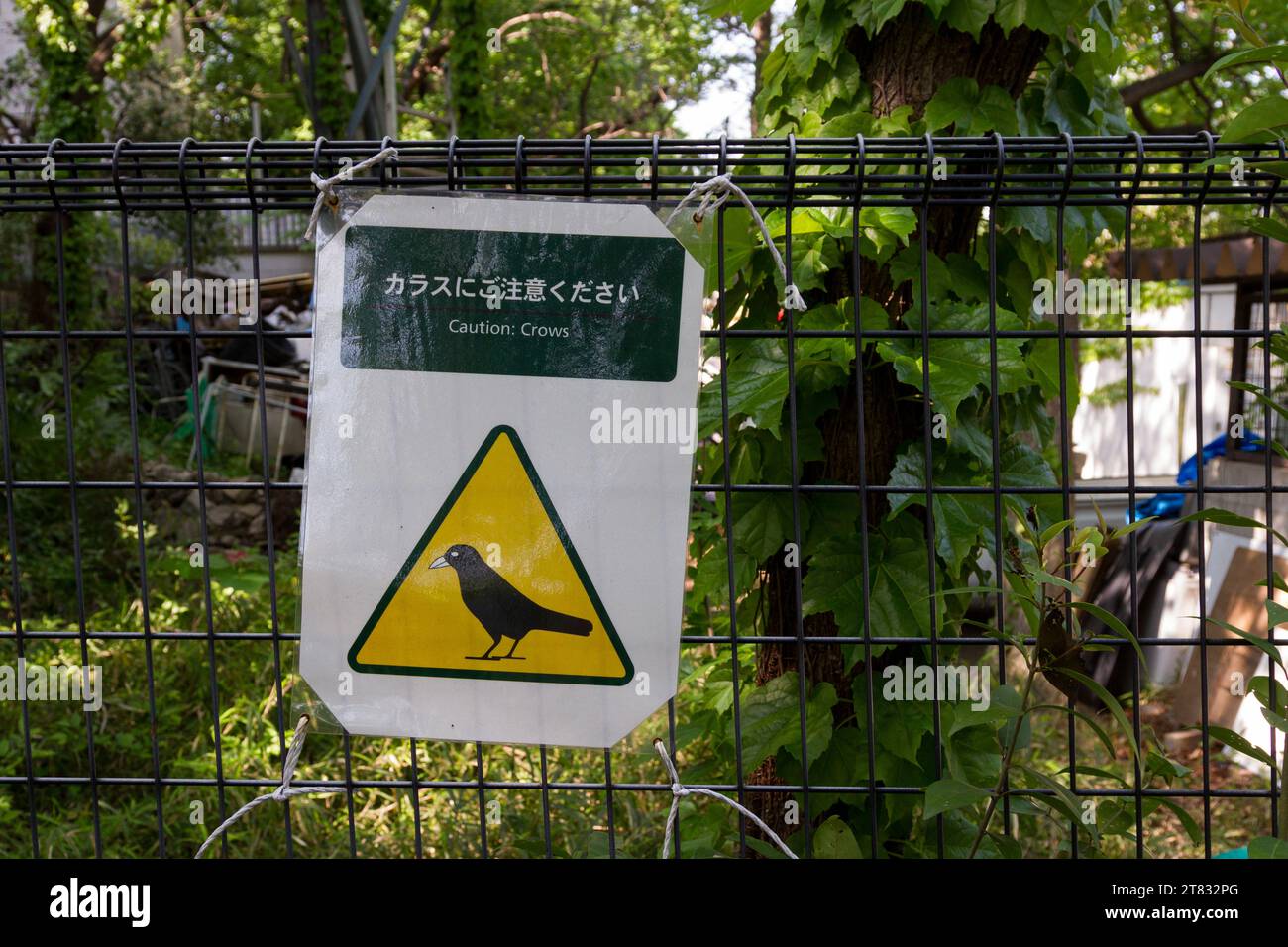 A warning sign to ensure people dispose of trash correctly due to crows ...