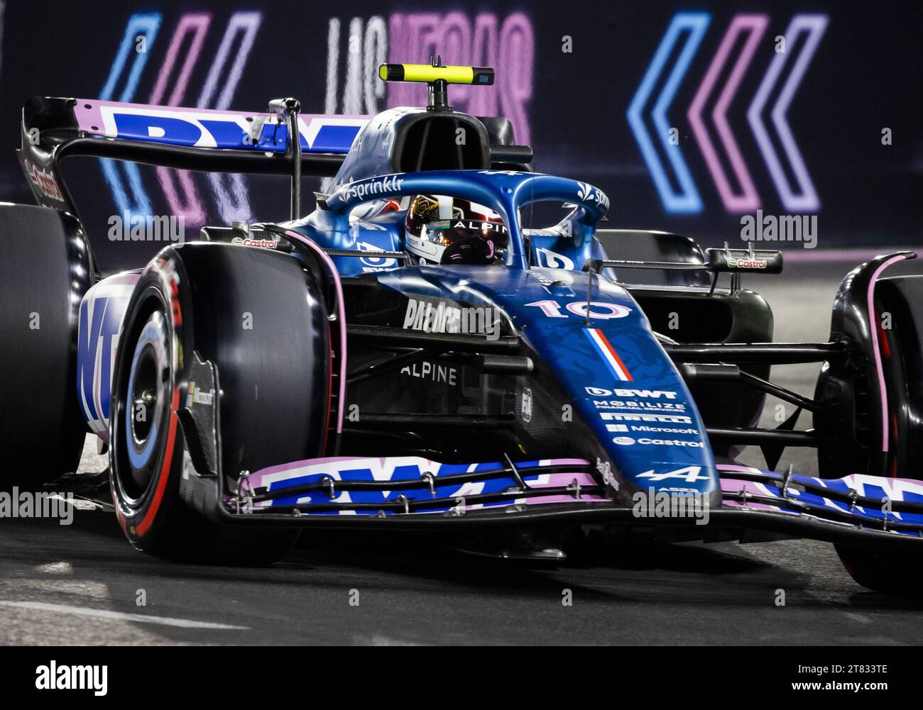 LAS VEGAS - Pierre Gasly (Alpine) during qualifying prior to the Las ...