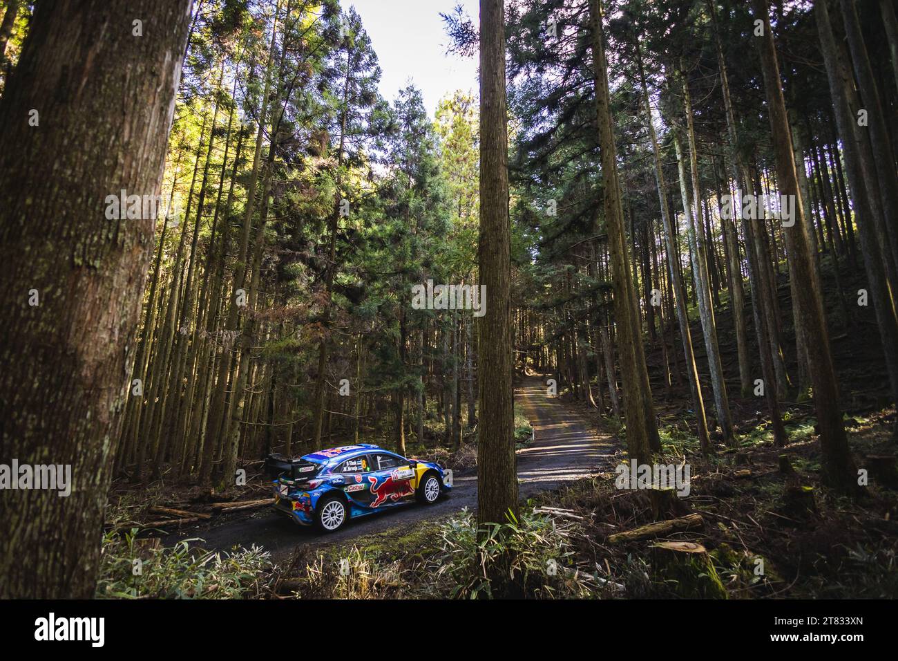 08 Ott TANAK (EST), Martin JARVEOJA (EST), M-SPORT FORD WORLD RALLY ...