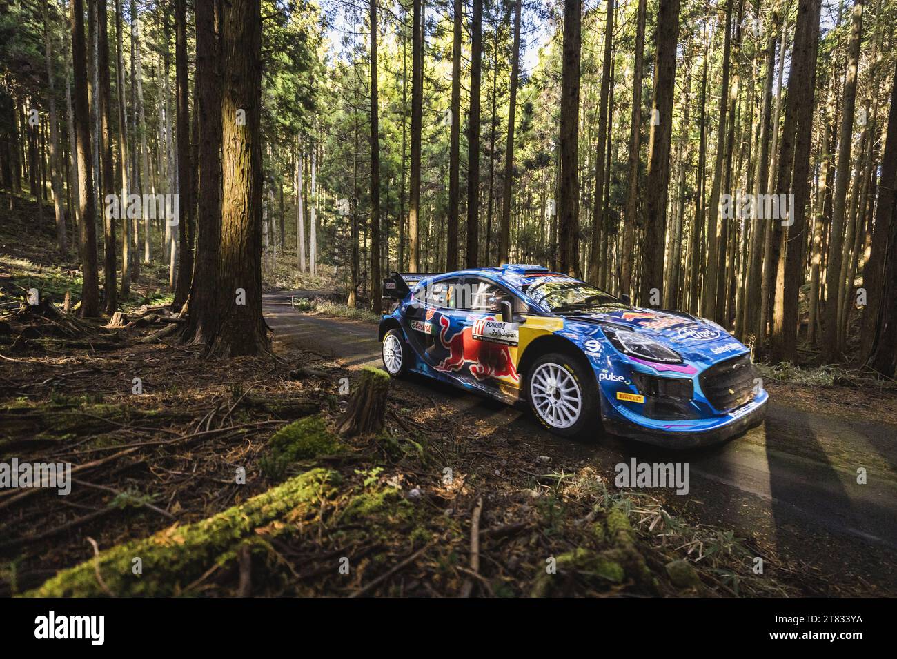 08 Ott TANAK (EST), Martin JARVEOJA (EST), M-SPORT FORD WORLD RALLY ...
