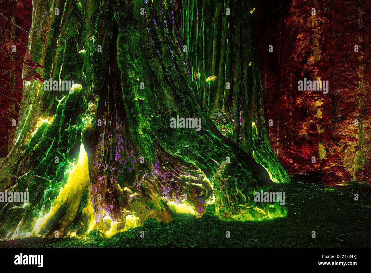 Template for science, presentation, university, astronomy, physics ...