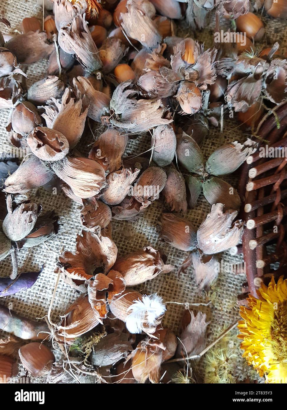 Eggs nuts beans hi-res stock photography and images - Alamy